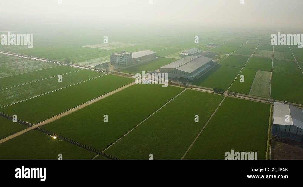 Field in asia Stock Videos & Footage - HD and 4K Video Clips - Alamy