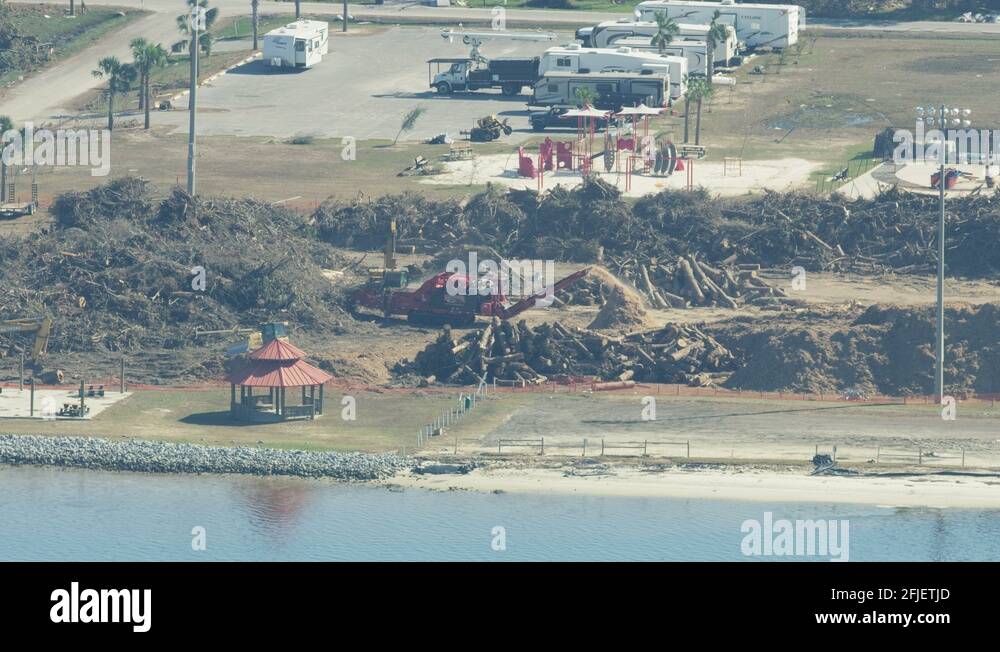 Shredded trees Stock Videos & Footage - HD and 4K Video Clips - Alamy