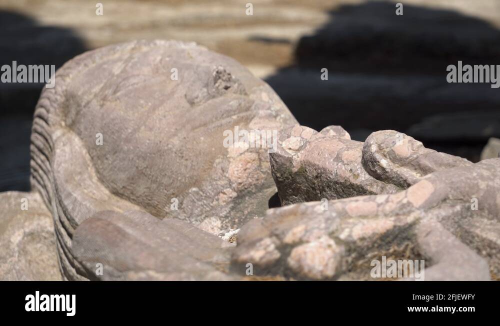 Louis ix Stock Videos & Footage - HD and 4K Video Clips - Alamy
