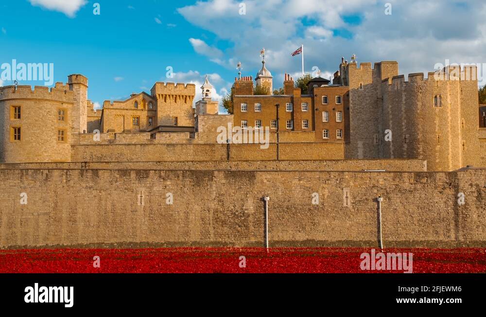 Tower of london ww1 installation Stock Videos & Footage - HD and 4K ...