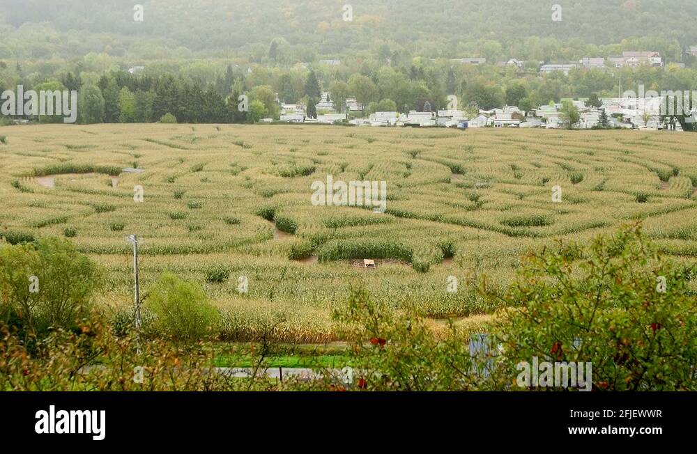 Labyrinth of crete Stock Videos & Footage - HD and 4K Video Clips - Alamy
