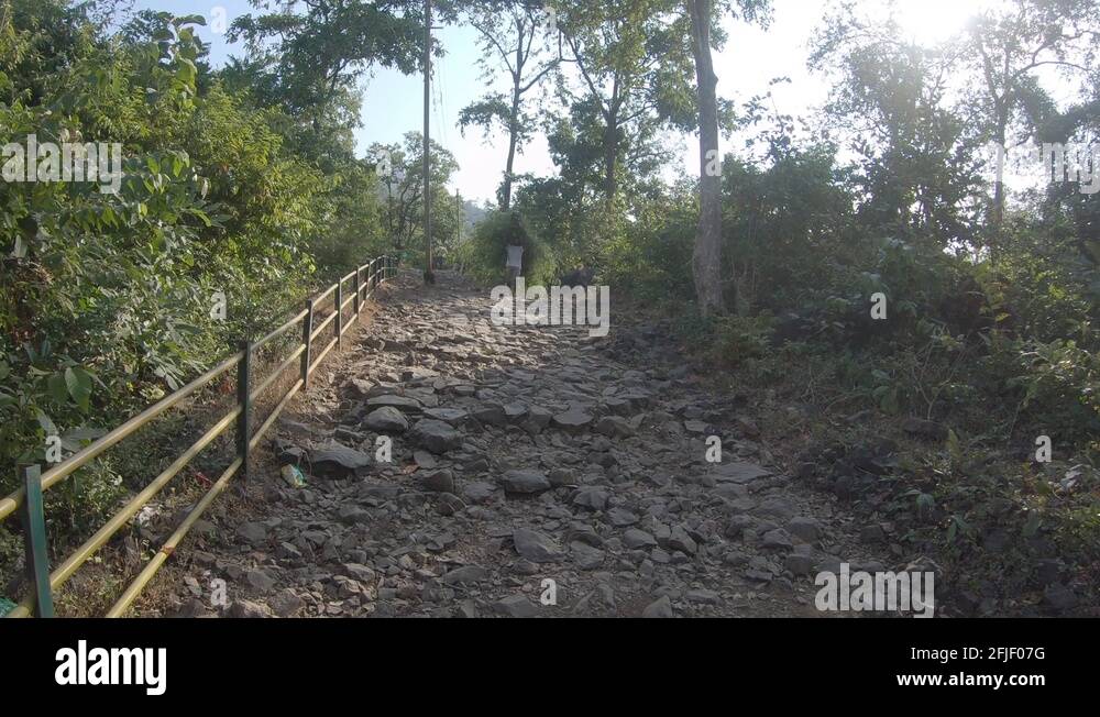 Plants on head Stock Videos & Footage - HD and 4K Video Clips - Alamy