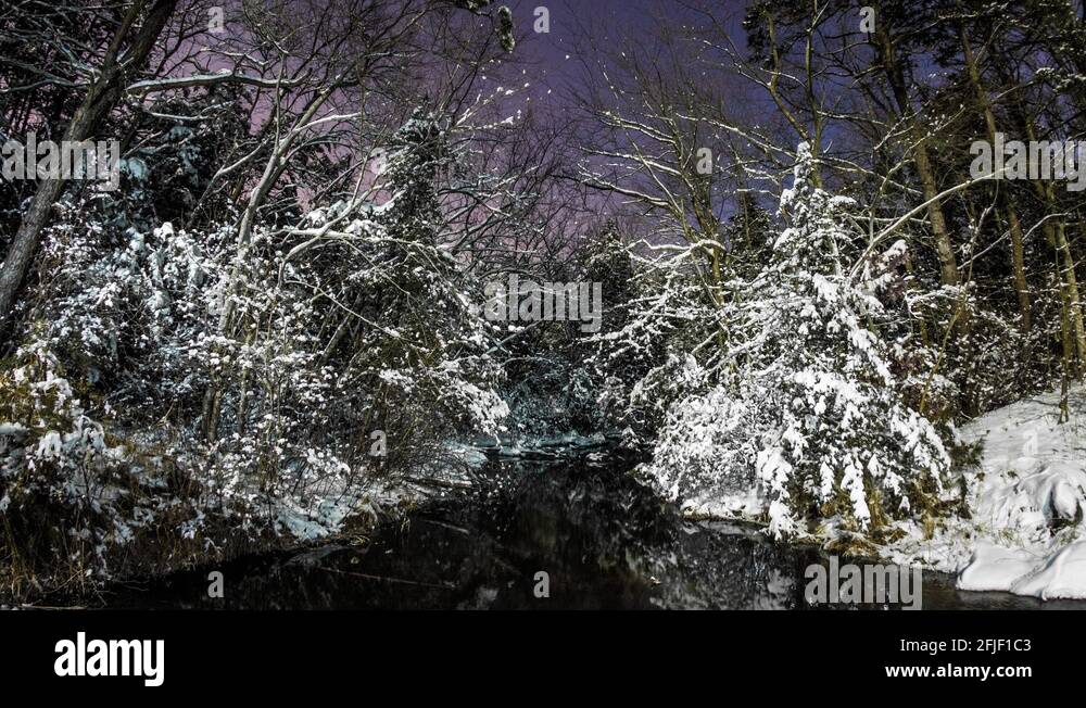 Snow dusted trees Stock Videos & Footage - HD and 4K Video Clips - Alamy