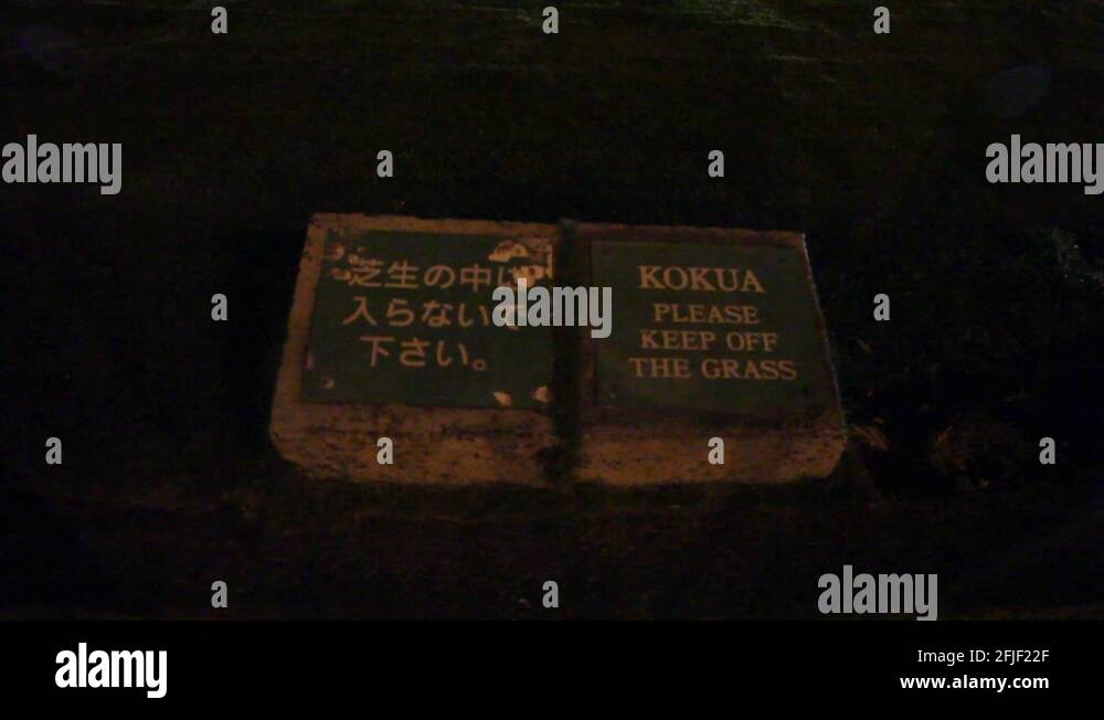 Hawaiian sign Stock Videos & Footage - HD and 4K Video Clips - Alamy