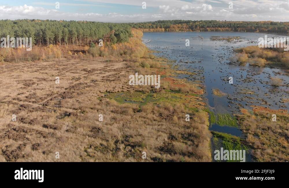Blakemere Stock Videos & Footage - HD and 4K Video Clips - Alamy
