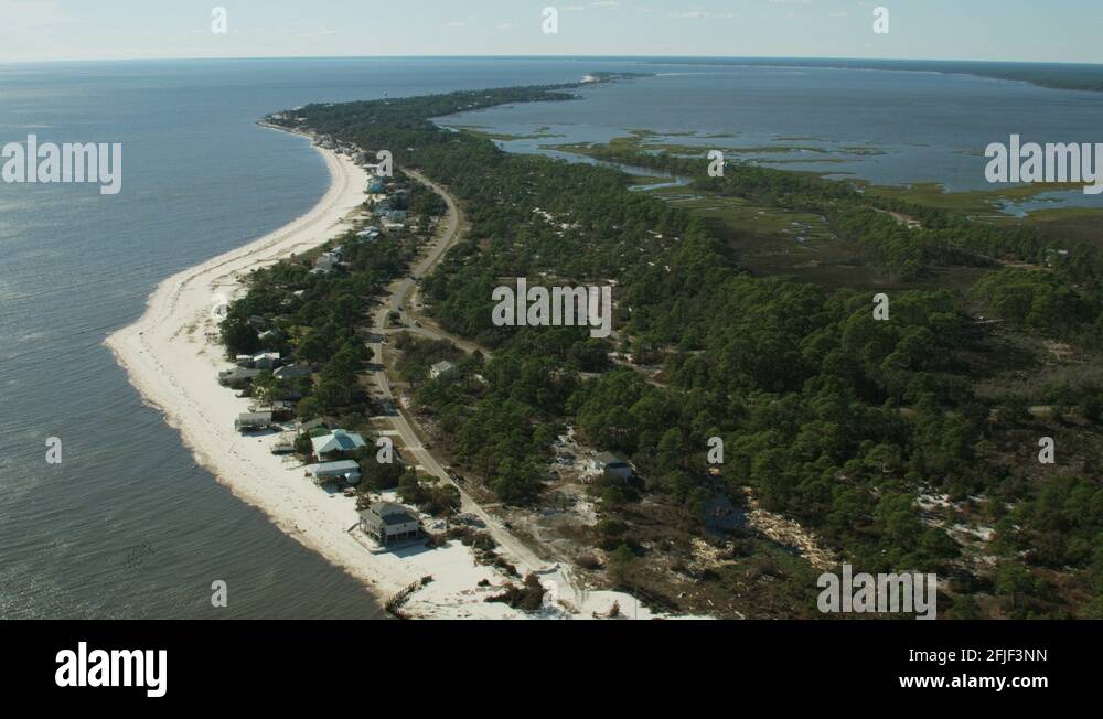 Florida alligator beach Stock Videos & Footage - HD and 4K Video Clips ...