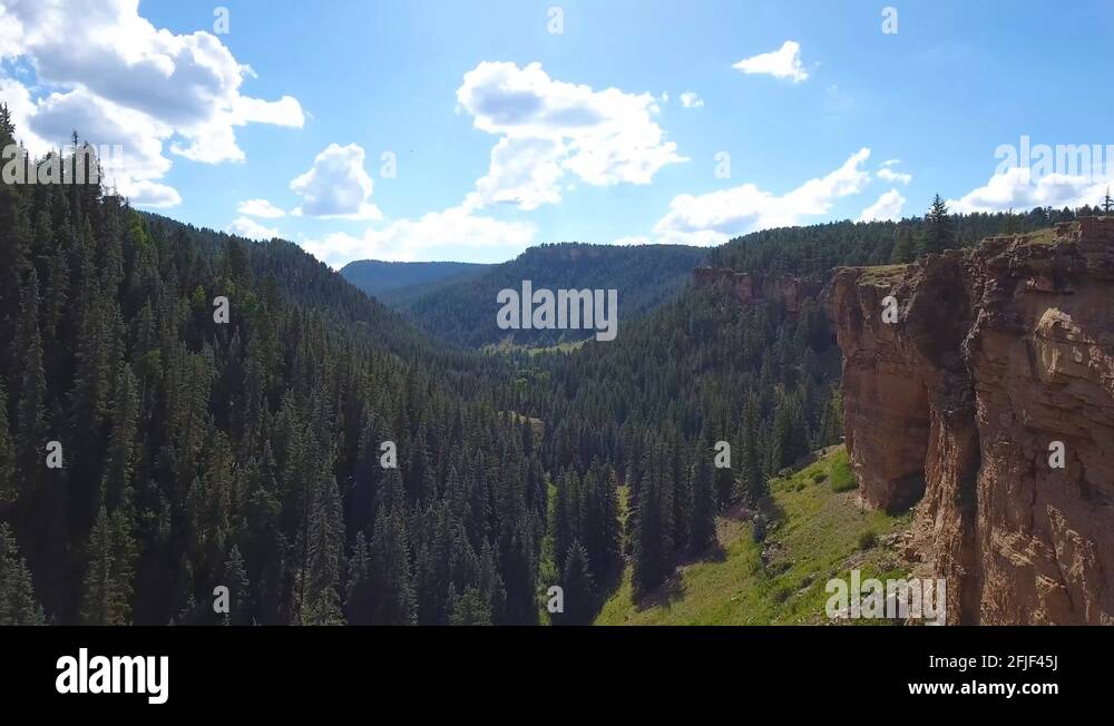 Forest on cliffside Stock Videos & Footage - HD and 4K Video Clips - Alamy