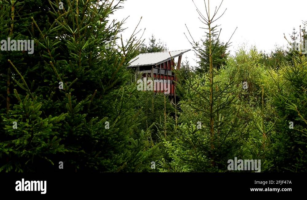 A watchtower or fire-tower in the forest, to protect nature against ...