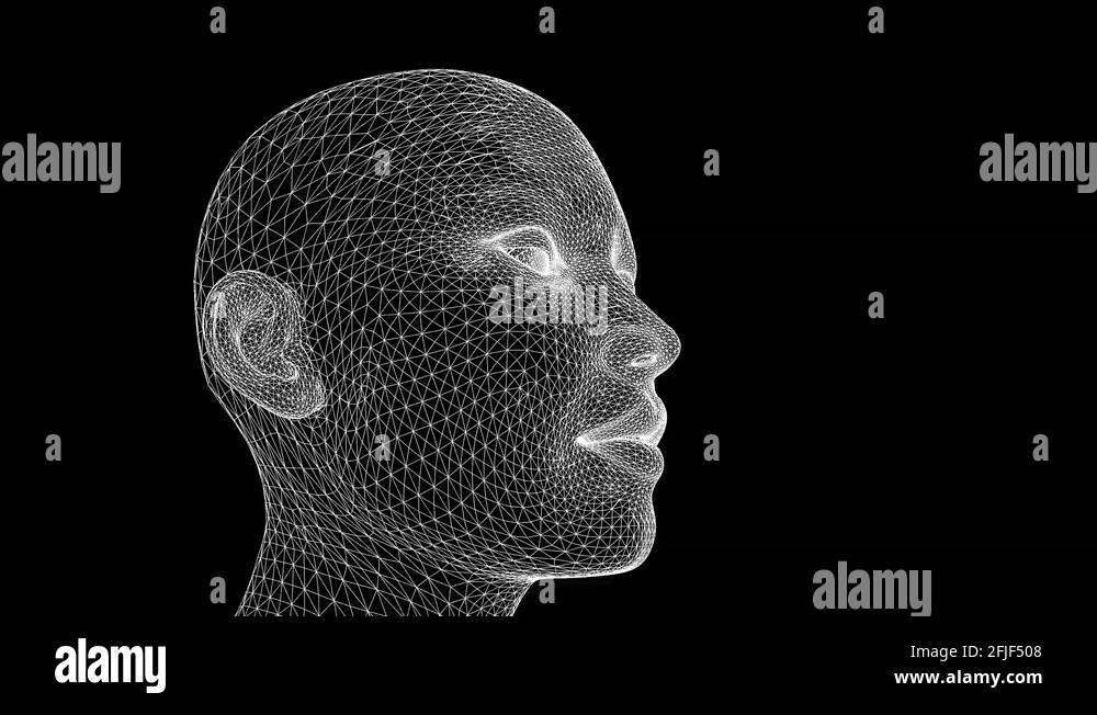 Woman digital wireframe face conceptual Stock Videos & Footage - HD and ...