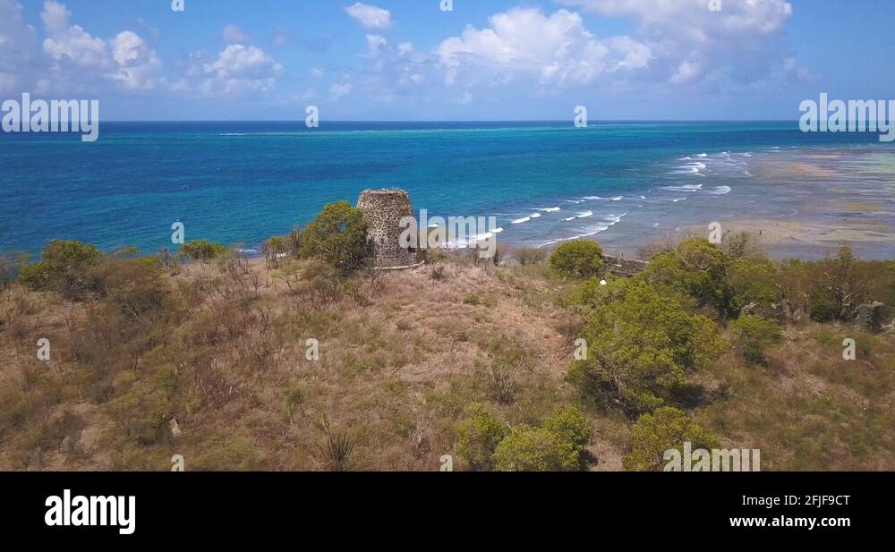 Caribbean sugar cane Stock Videos & Footage - HD and 4K Video Clips - Alamy