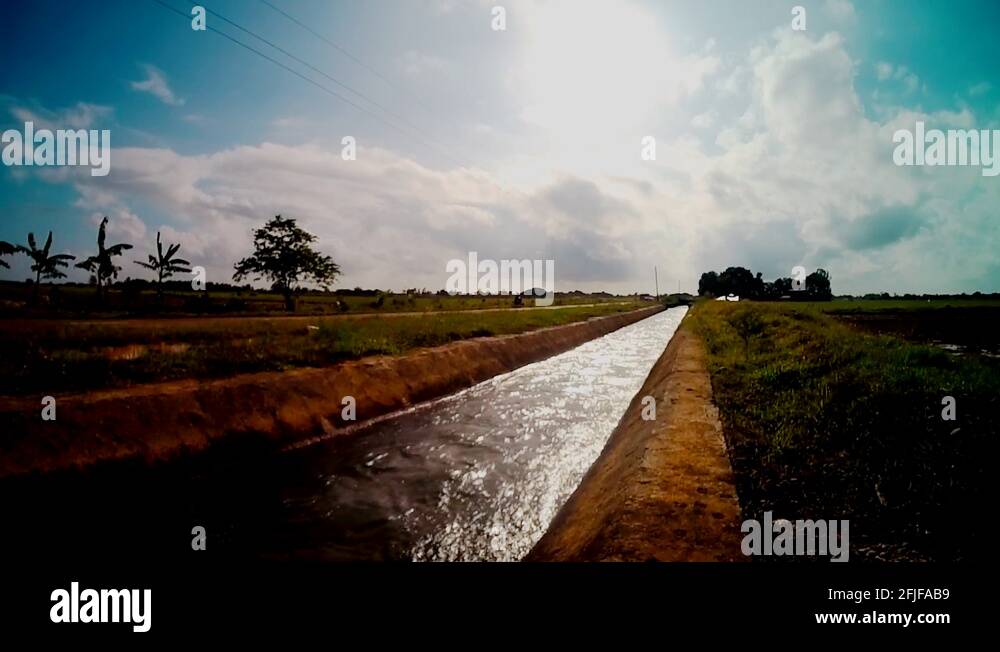 Water flowing from a river dam going to the rice fields Stock Video ...