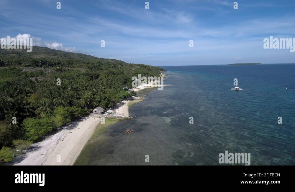 Bich Stock Videos & Footage - HD and 4K Video Clips - Alamy