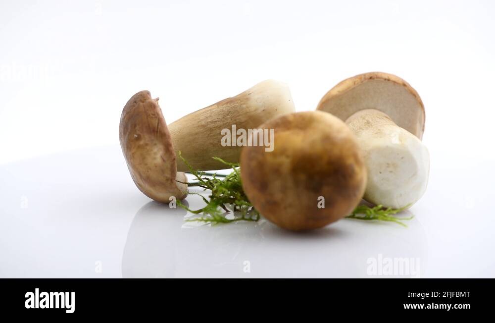 Raw wild Boletus mushrooms rotated on white background. Ceps. Boletus ...