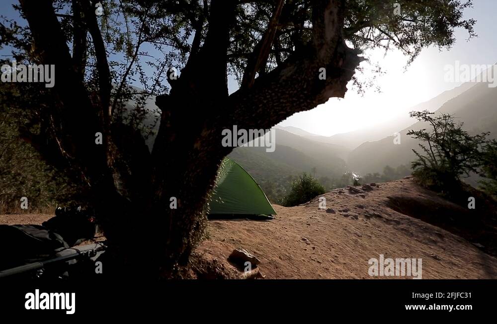 Waking up in nature Stock Videos & Footage - HD and 4K Video Clips - Alamy