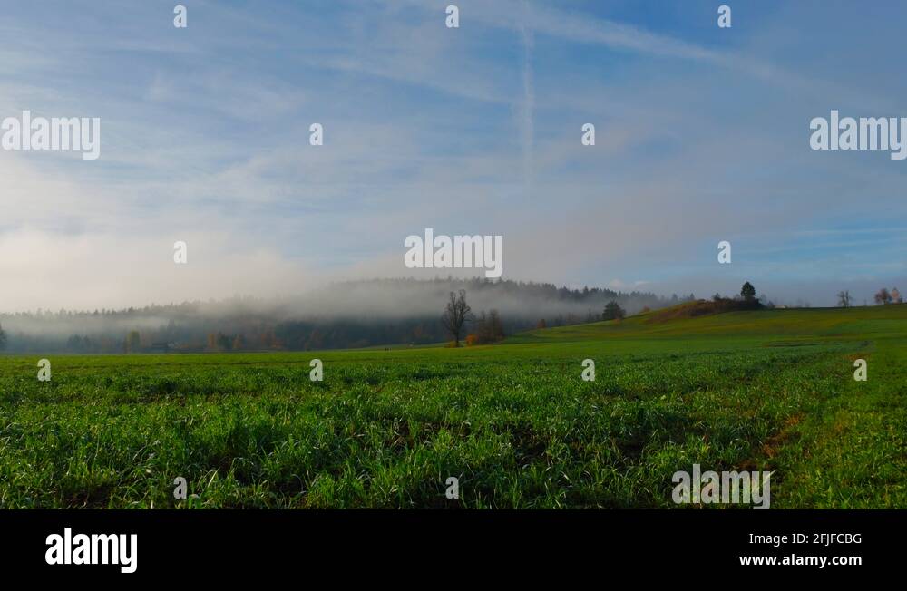 Field with isolated tree Stock Videos & Footage - HD and 4K Video Clips ...