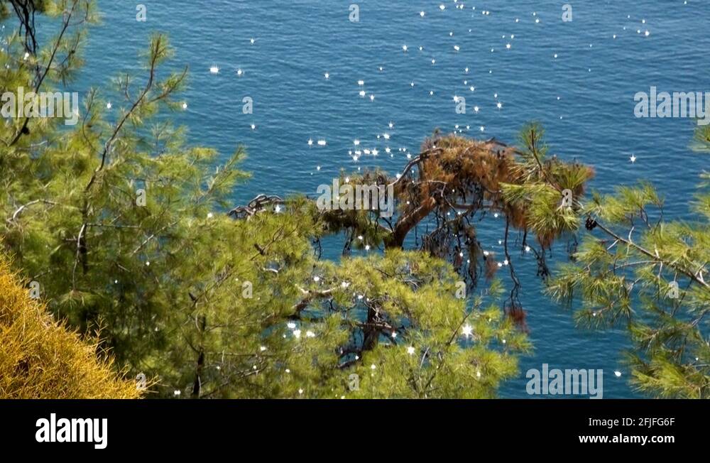 Sun rays sparkle and shine on surface of sea water on coast mountain in ...