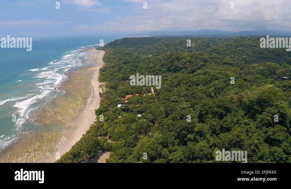 Costa rica jungle coast Stock Videos & Footage - HD and 4K Video Clips ...