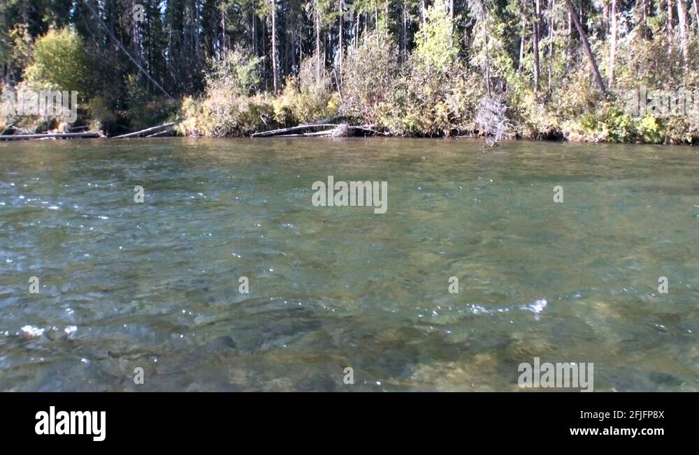 Rapids with clear transparent water of river Lena in Siberia Stock ...