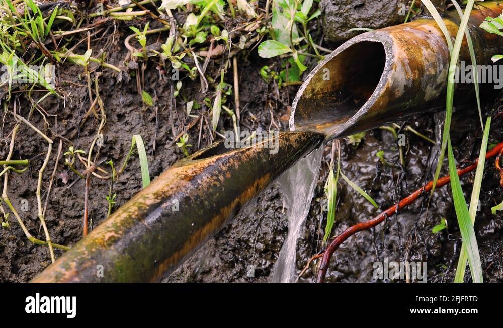Bamboo pipes Stock Videos & Footage - HD and 4K Video Clips - Alamy
