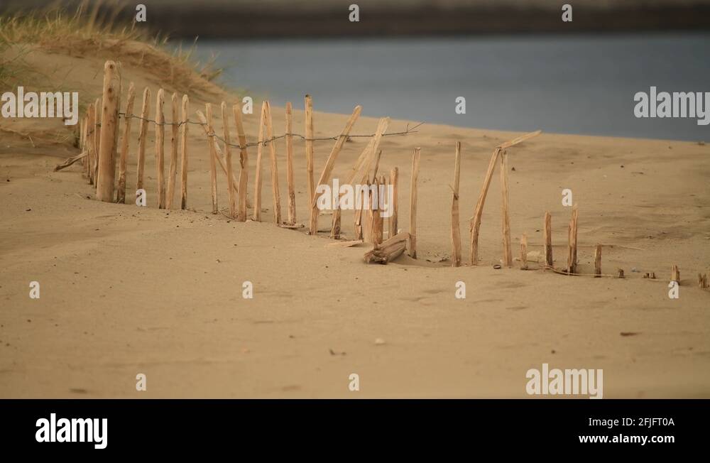 Dune stabilisation Stock Videos & Footage - HD and 4K Video Clips - Alamy