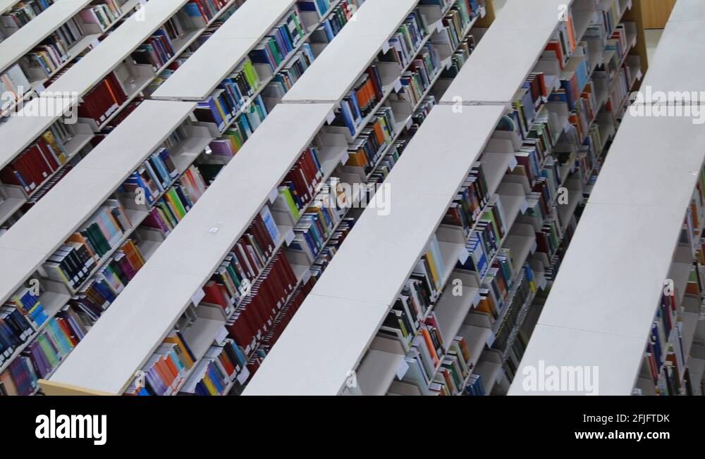 Librarian book shelves Stock Videos & Footage - HD and 4K Video Clips ...