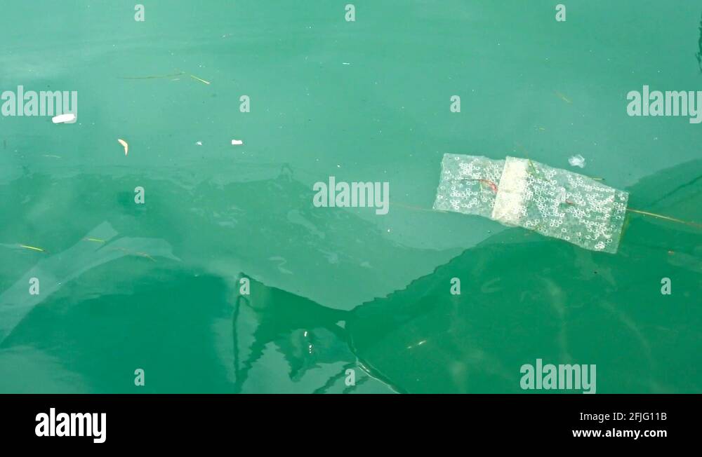 Dirty polluted water illustrating the dire situation of ocean pollution ...