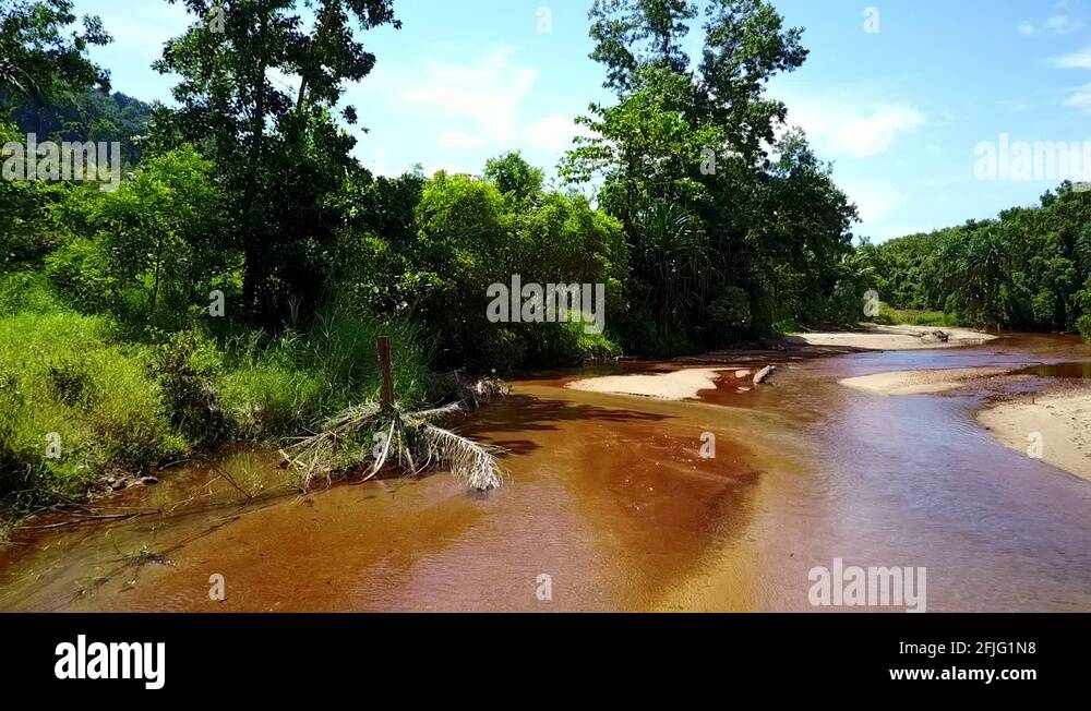 Fly fishing river Stock Videos & Footage - HD and 4K Video Clips - Alamy