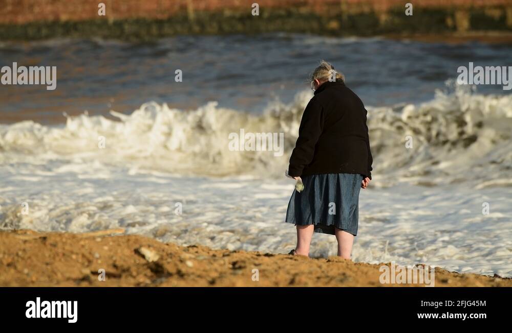 Collecting shells Stock Videos & Footage - HD and 4K Video Clips - Alamy