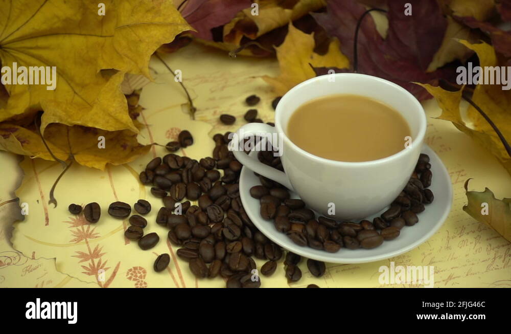 Coffee break in a vintage entourage in slow motion Stock Video Footage ...