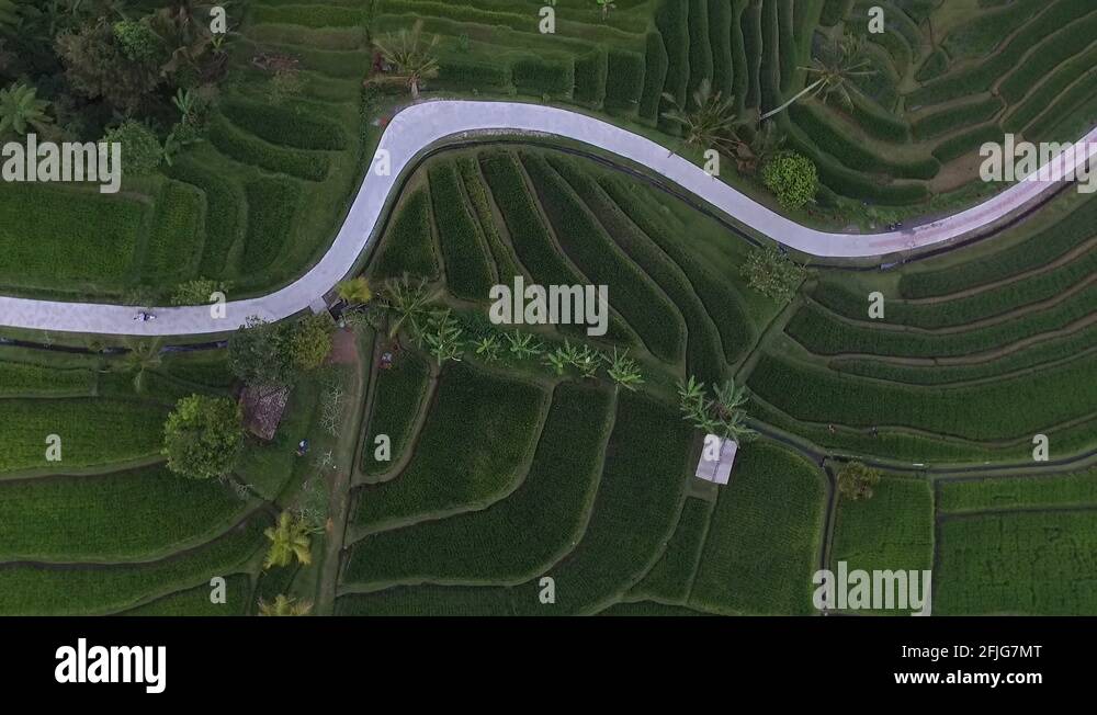 Bali road Stock Videos & Footage - HD and 4K Video Clips - Alamy