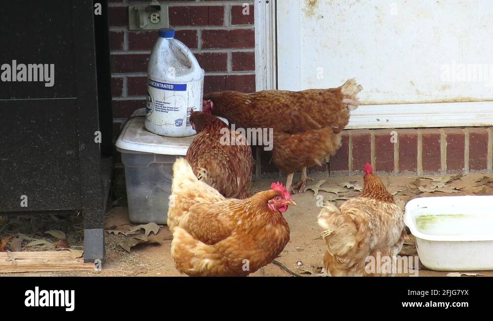 Random country Stock Videos & Footage - HD and 4K Video Clips - Alamy