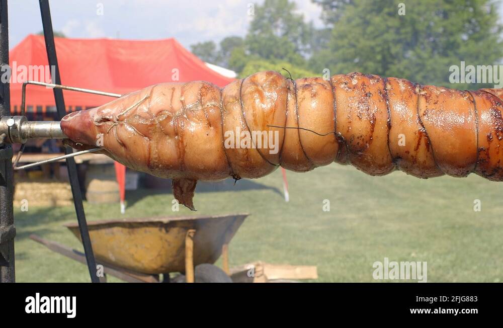 Two pigs turn and roast over an open fire at a barbecue Stock Video ...