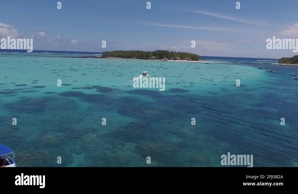 Reef area Stock Videos & Footage - HD and 4K Video Clips - Alamy