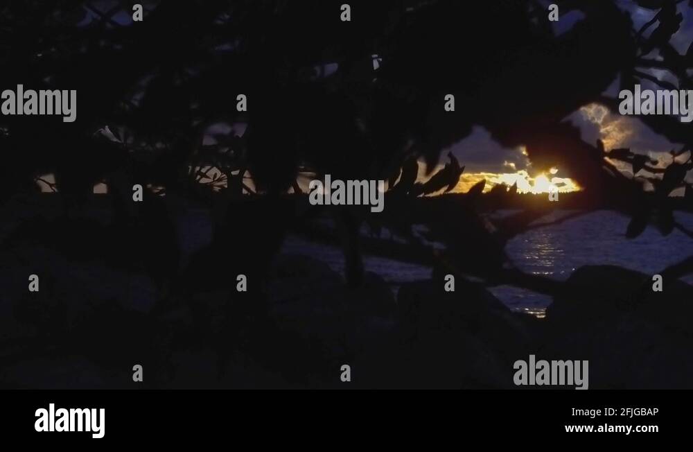 Cable transition Stock Videos & Footage - HD and 4K Video Clips - Alamy