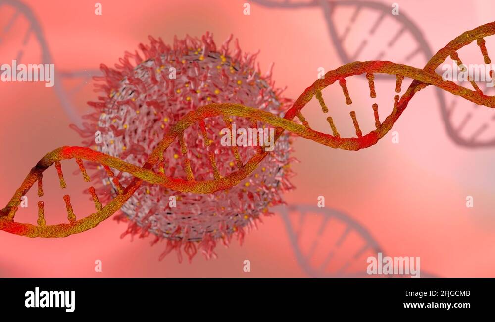 Pcr cell Stock Videos & Footage - HD and 4K Video Clips - Alamy
