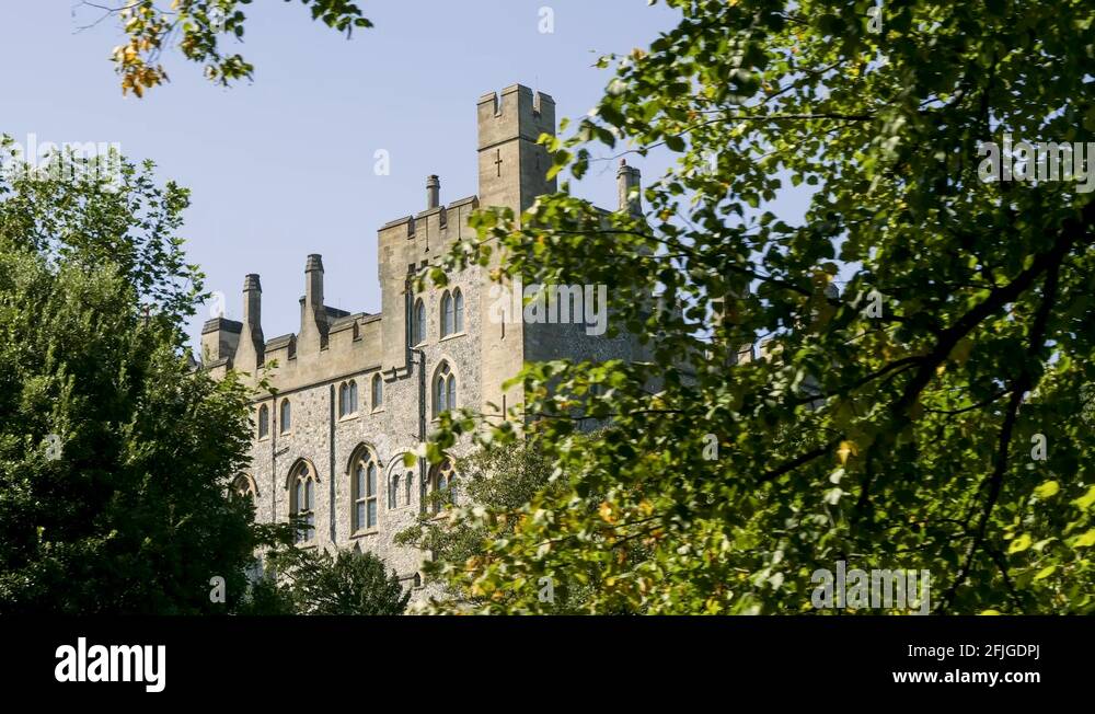 British isles nature trees Stock Videos & Footage - HD and 4K Video ...