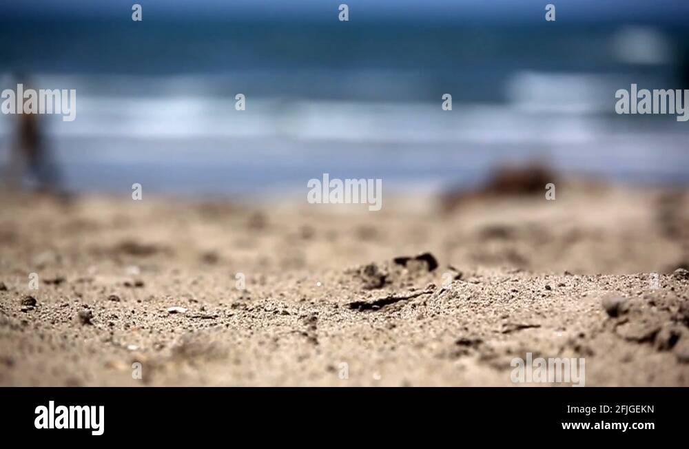 AAV teams conduct their MCOTEA assessment on Marine Corps Base - 2015 ...