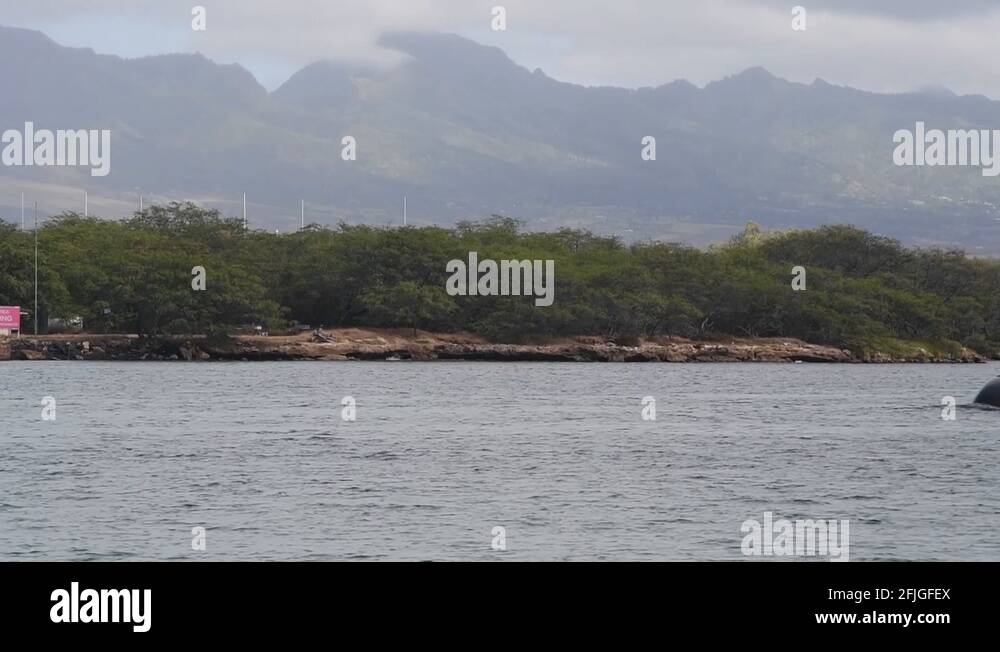 Ss park Stock Videos & Footage - HD and 4K Video Clips - Alamy