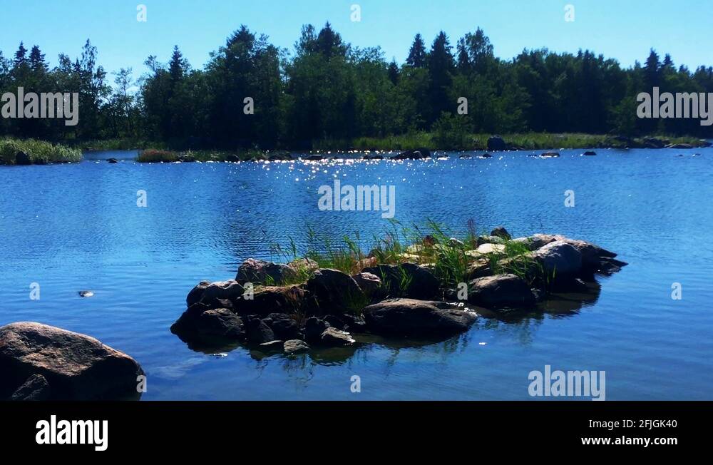 Silent nature Stock Videos & Footage - HD and 4K Video Clips - Alamy