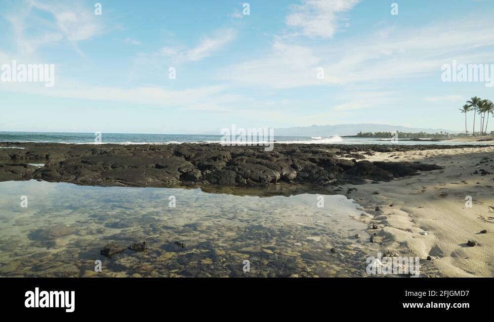 Lava encased tree Stock Videos & Footage - HD and 4K Video Clips - Alamy