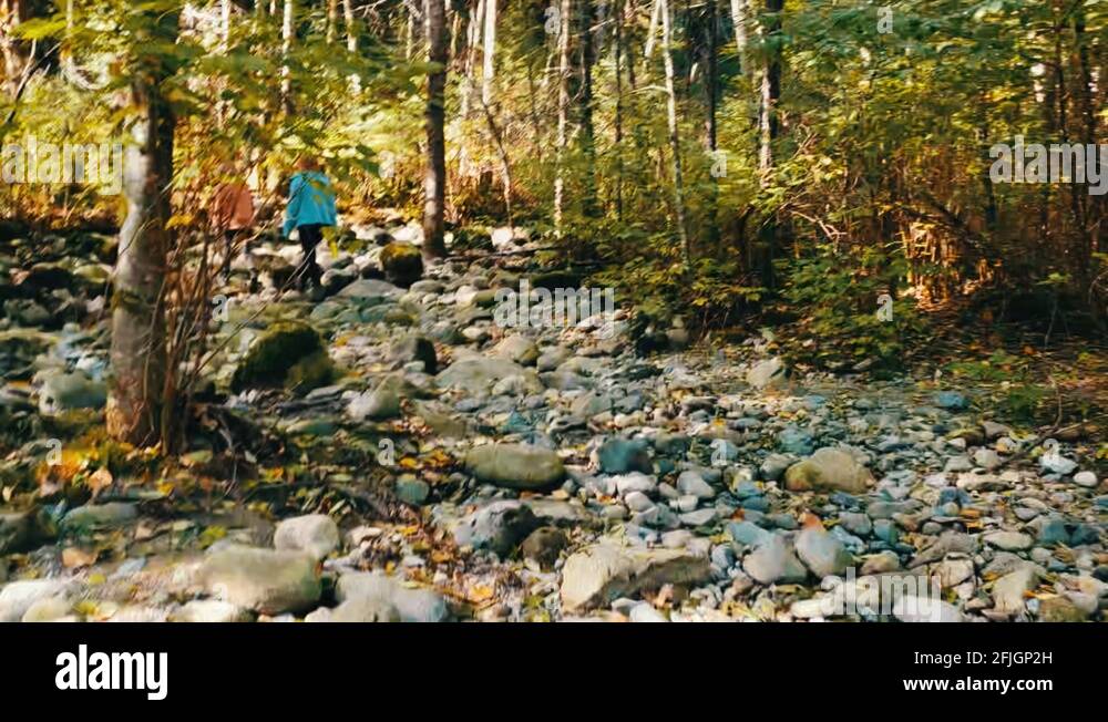 Hiking during fall in nature Stock Videos & Footage - HD and 4K Video ...