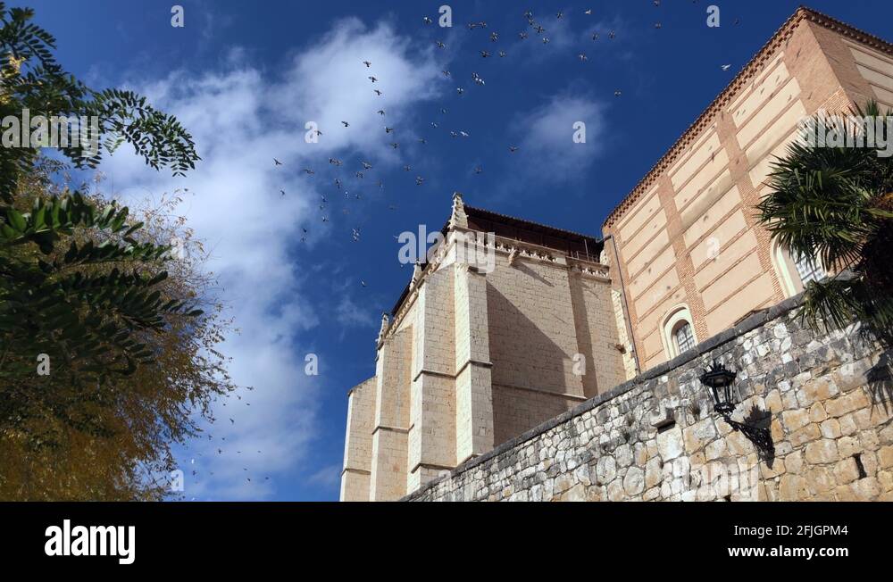 Countryside pigeons Stock Videos & Footage - HD and 4K Video Clips - Alamy