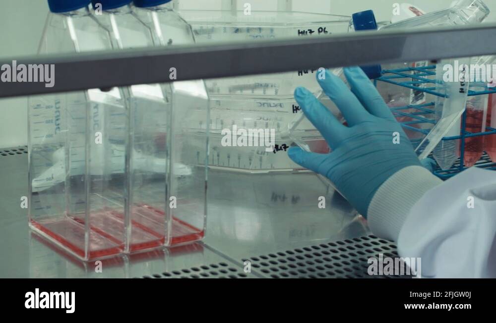 Pharmaceutical lab Stock Videos & Footage - HD and 4K Video Clips - Alamy