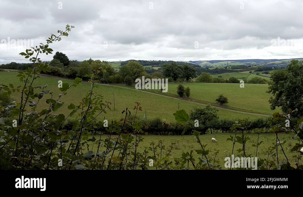 Severn valley farm Stock Videos & Footage - HD and 4K Video Clips - Alamy