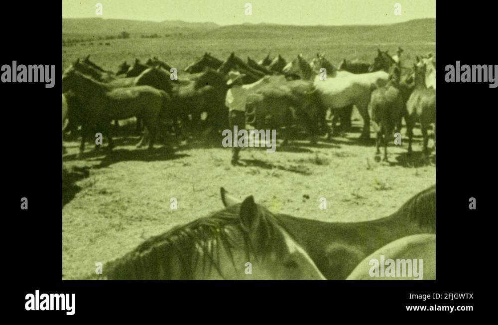 Cowboy whip Stock Videos & Footage - HD and 4K Video Clips - Alamy