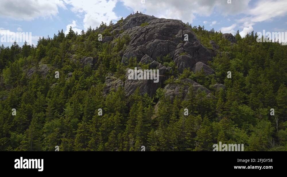 Growing mountain pine Stock Videos & Footage - HD and 4K Video Clips ...