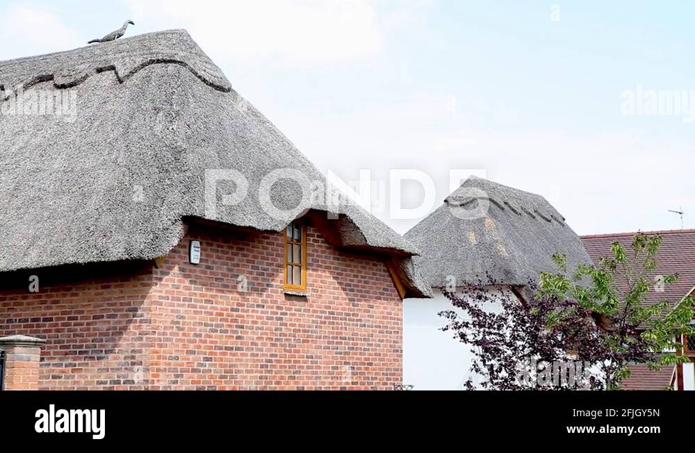 Thatched thatched roofs Stock Videos & Footage - HD and 4K Video Clips ...