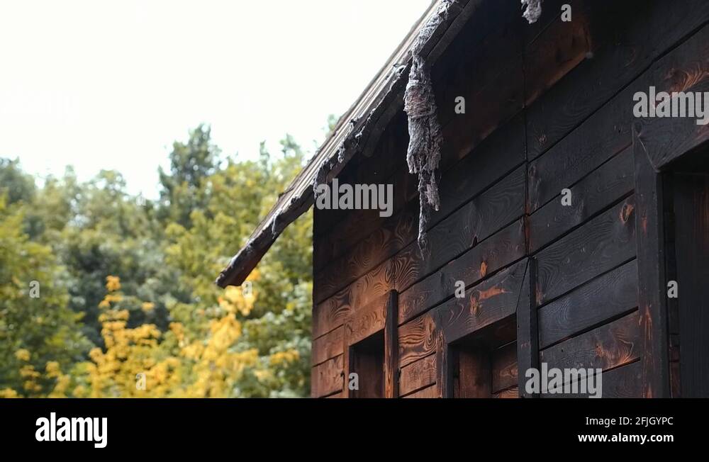 Pagan theme Stock Videos & Footage - HD and 4K Video Clips - Alamy