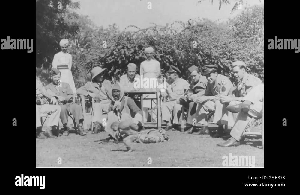 Monkey charmer Stock Videos & Footage - HD and 4K Video Clips - Alamy