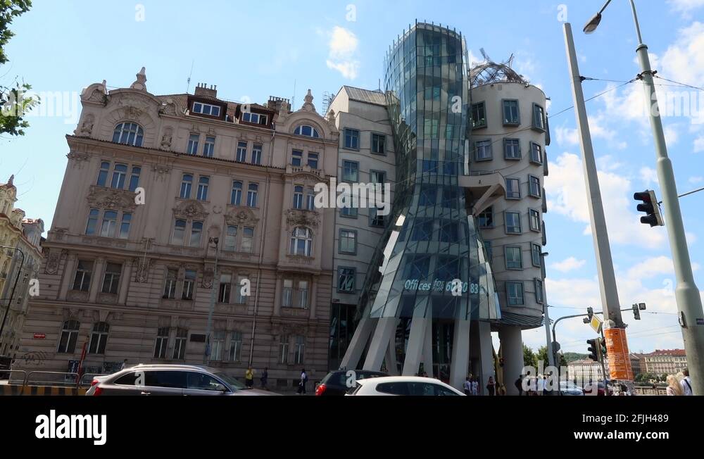 Nickname haantje or rooster Stock Videos & Footage - HD and 4K Video ...